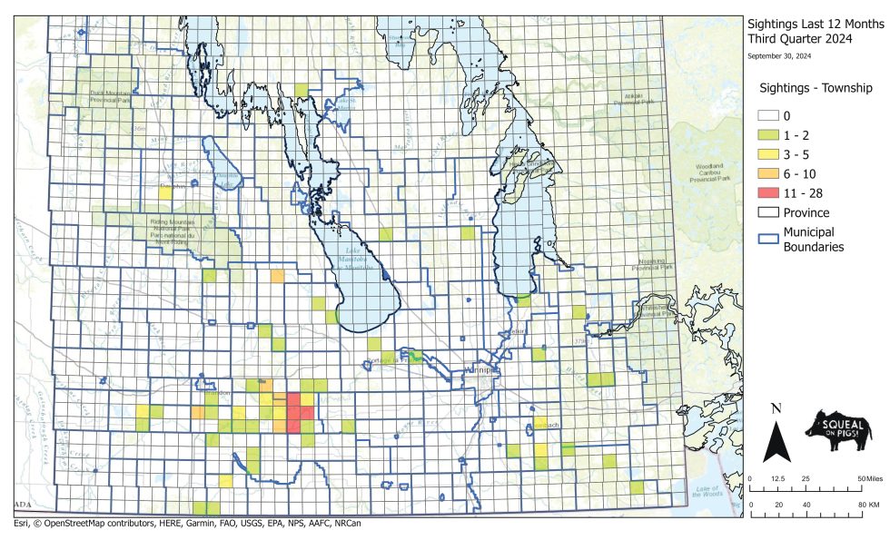 Mapping | Squeal On Pigs